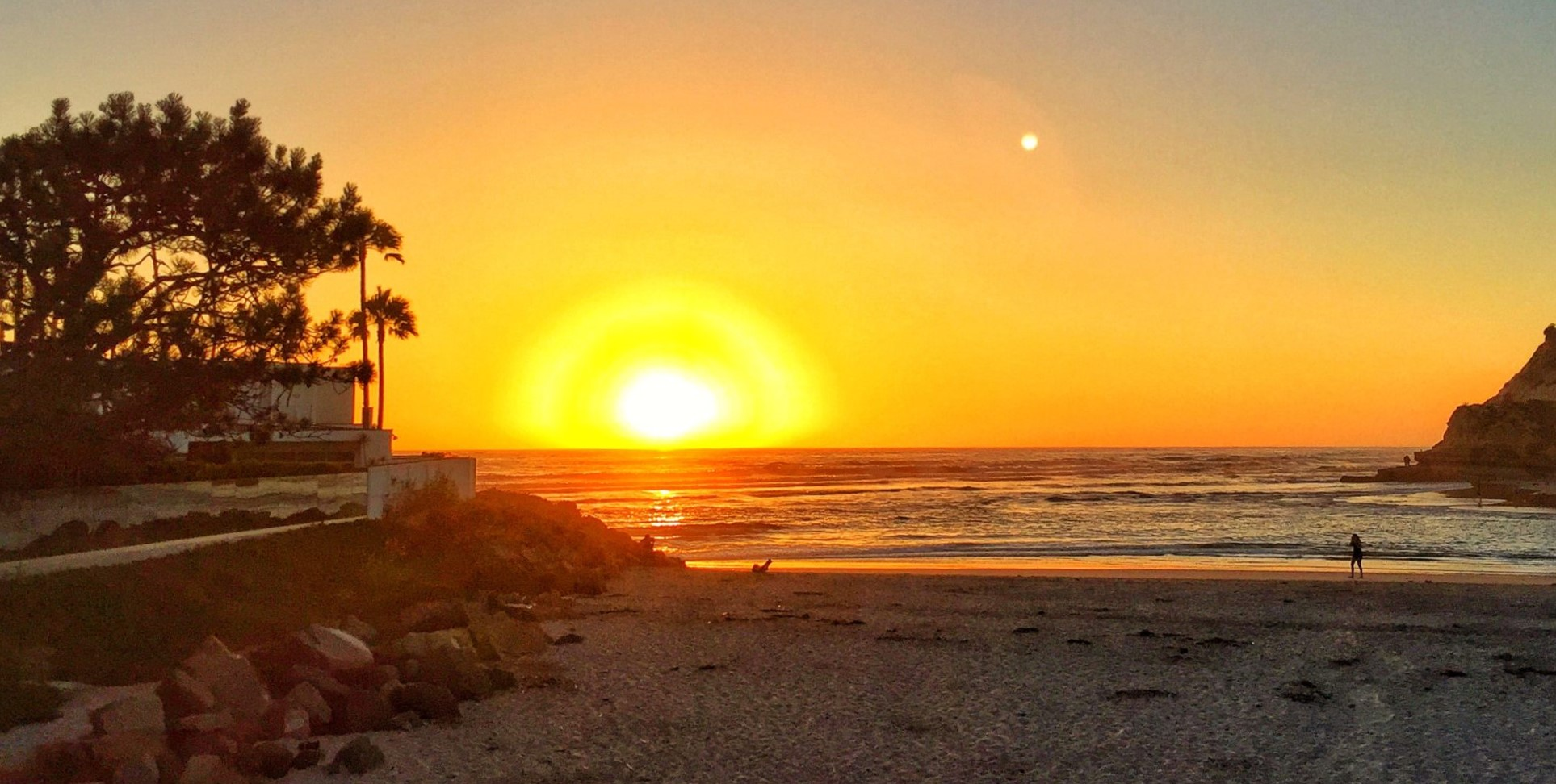TP_SUNSET (1) | Torrey Pines Democratic Club